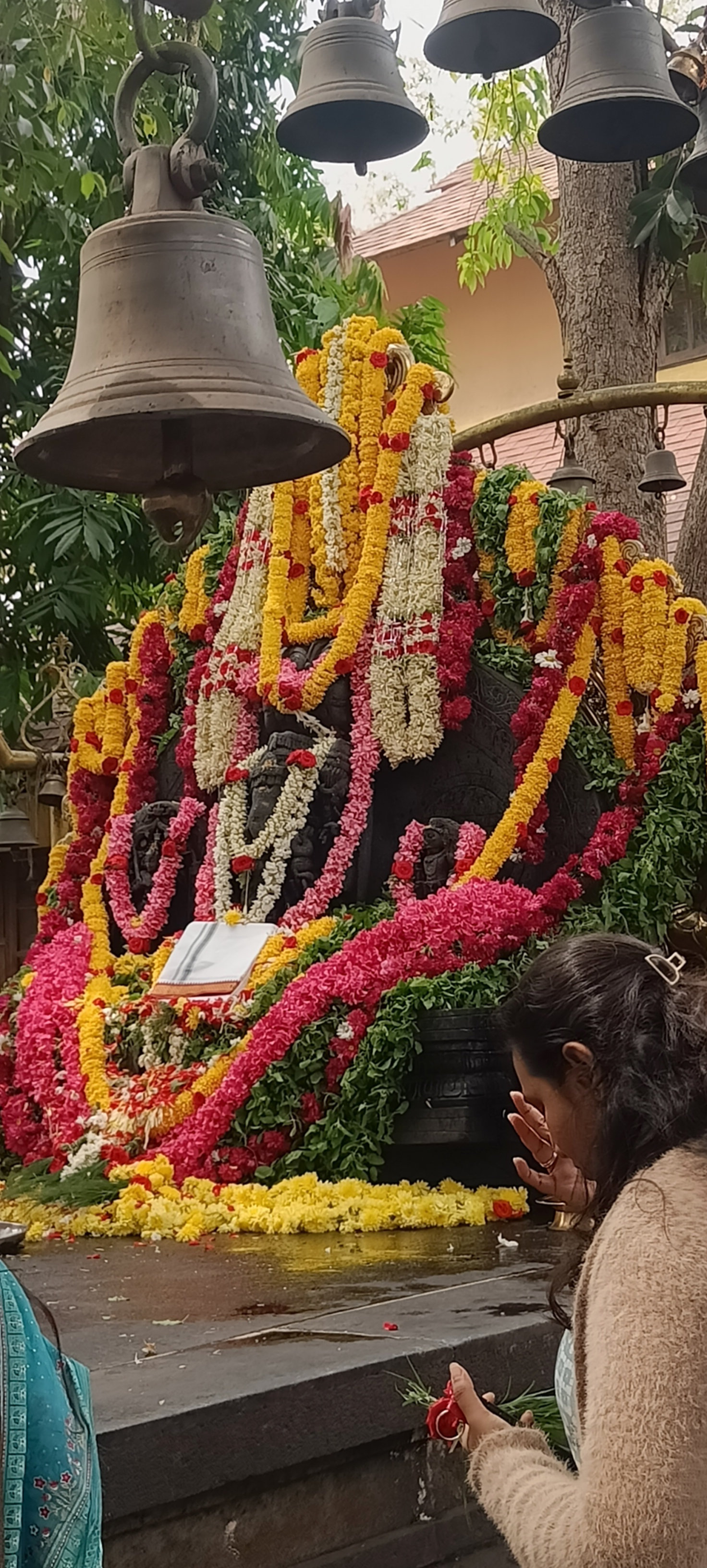 Volunteer at Shree Ganesha Temple Mount Edgecombe | Heritage ...